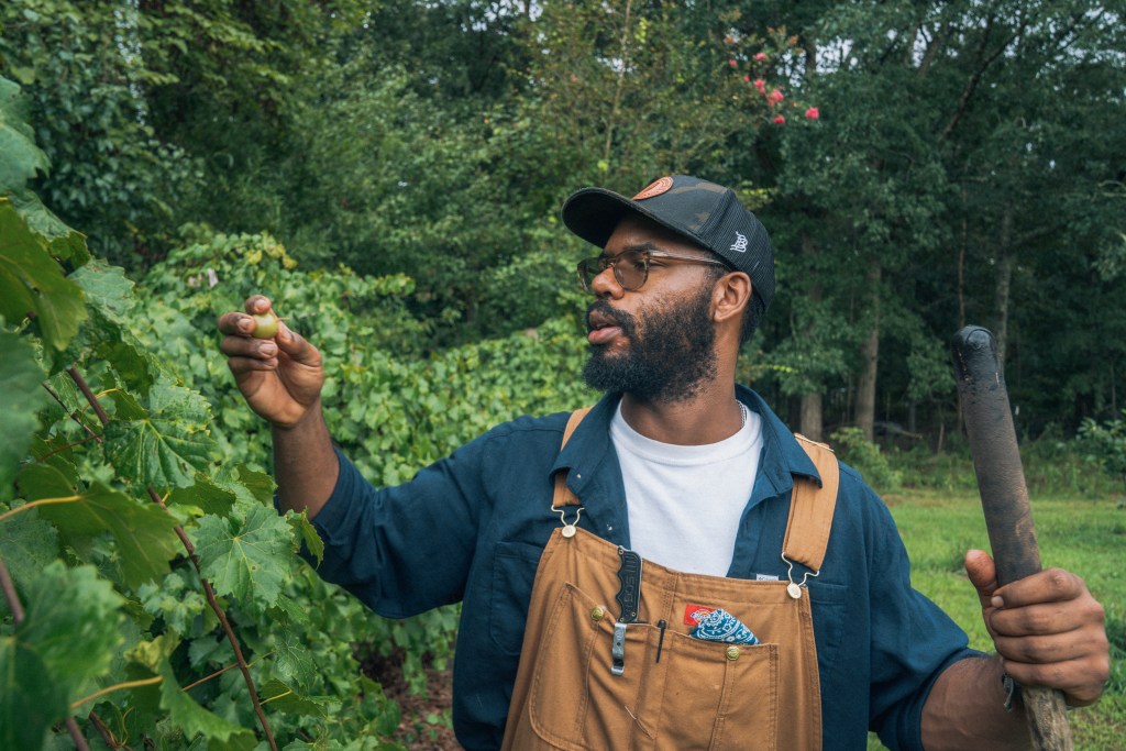 Atlanta Harvest: Fresh produce, community, and sustainability - The ...